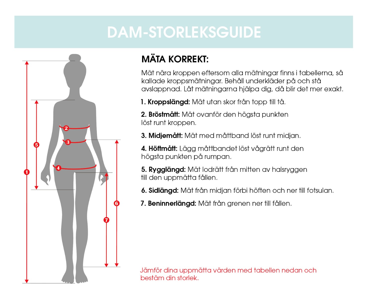 Dam - Storleksguide 7days Arbetskläder